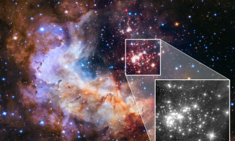 How to Prevent Collateral Damage in the Immune System | Immunology