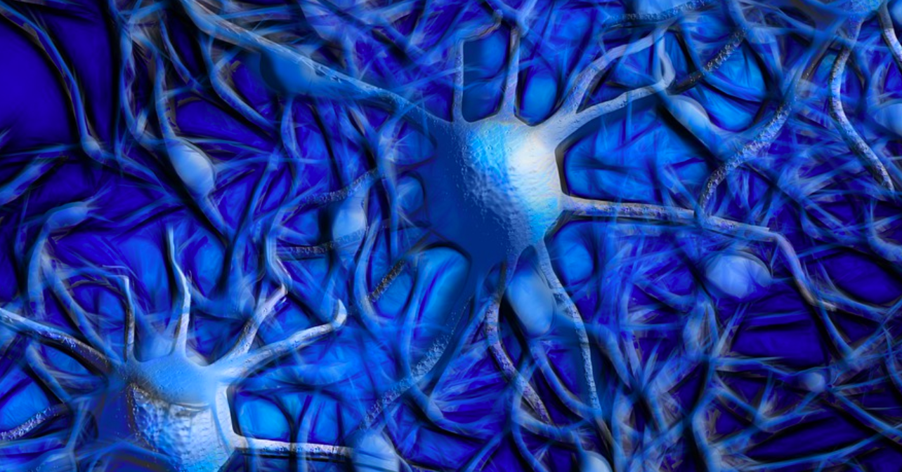 Connectomics Understanding Neural Connections And Information Flow In The Brain Neuroscience