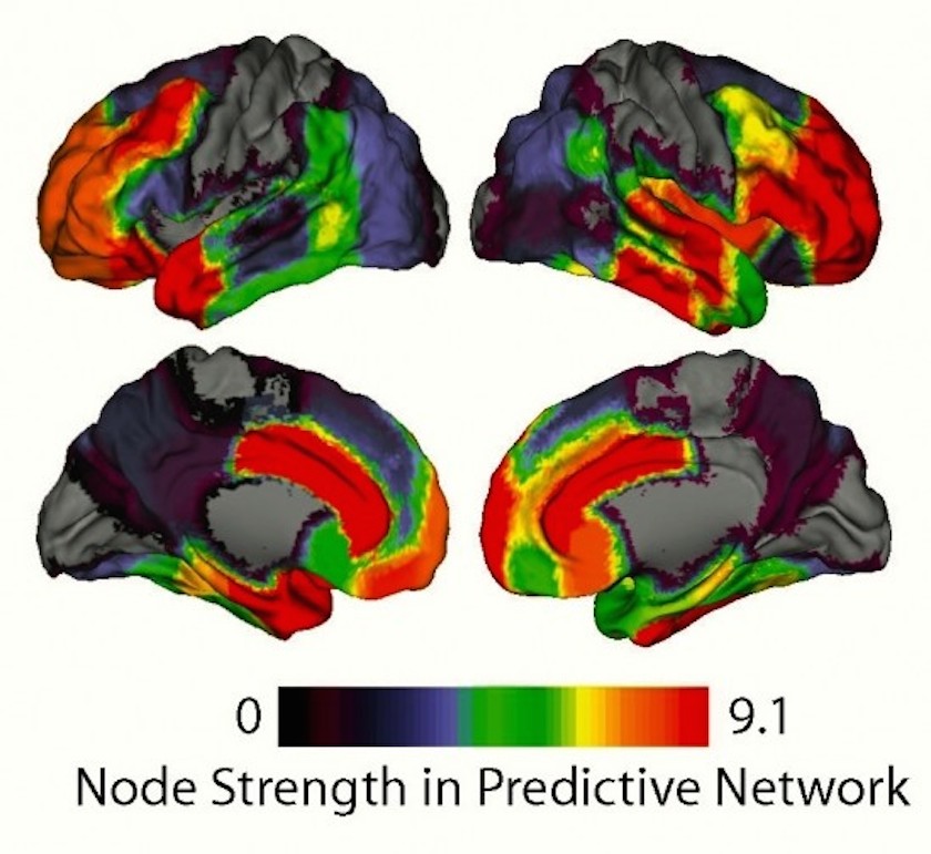 Can We Be Too Brainy to Learn Well? | Neuroscience