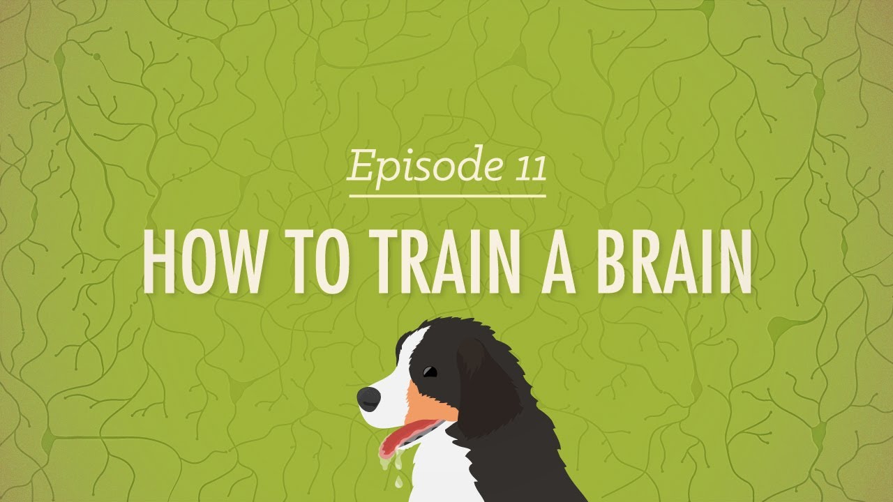 How to Train a Brain | Videos