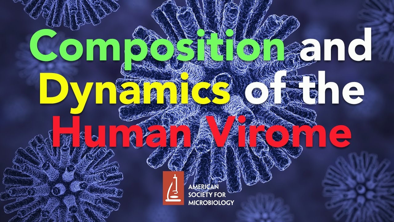 The Human Virome | Videos