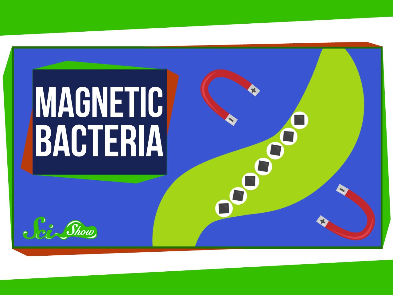 How Magnetic Bacteria Work & Why Scientists Want These Magnets | Videos