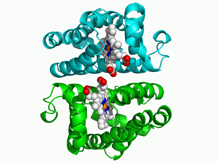 Protein Serves as a Potential Drug Target | Drug Discovery And Development