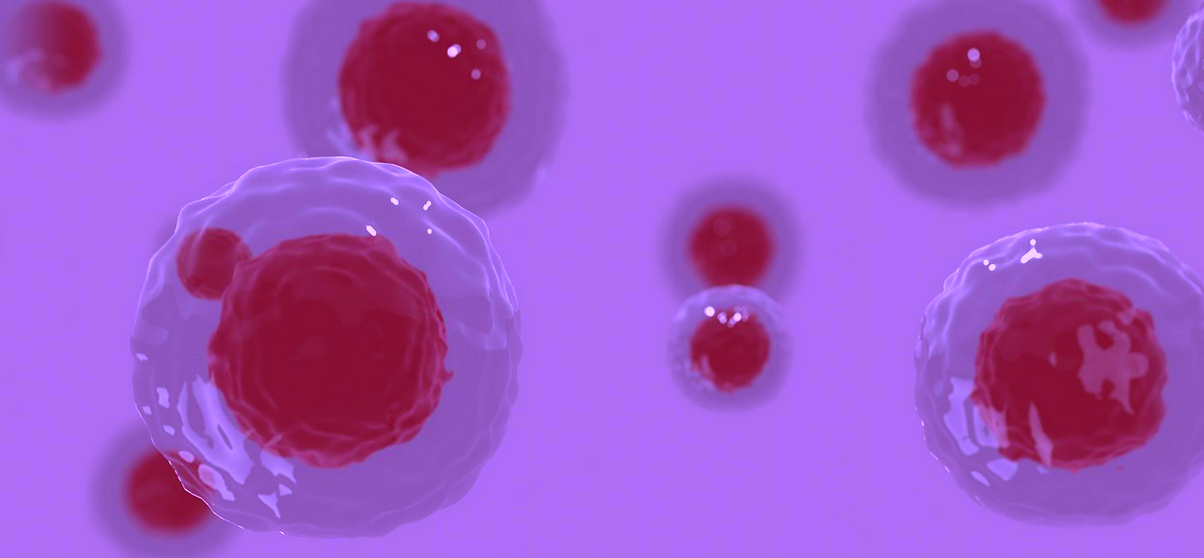 The Molecular 'Anchors' That Hold Cells in Place | Cell And Molecular ...