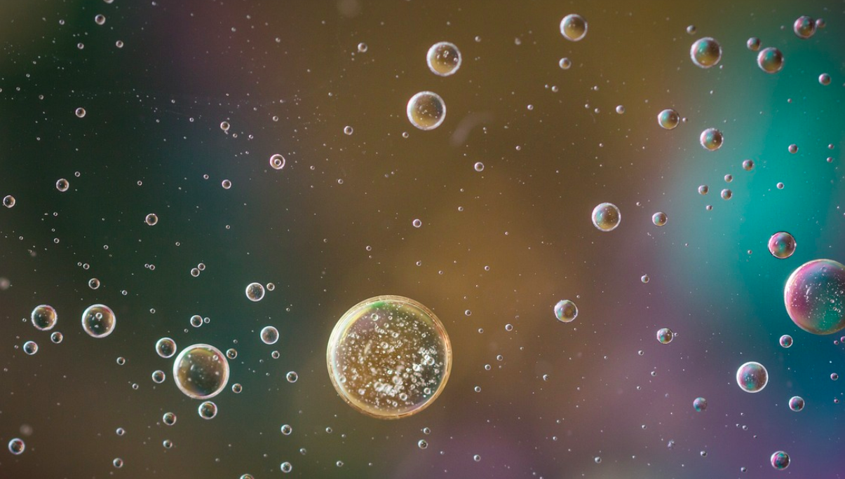 Hunger Triggers Some Bacteria to Release Toxins | Cell And Molecular ...