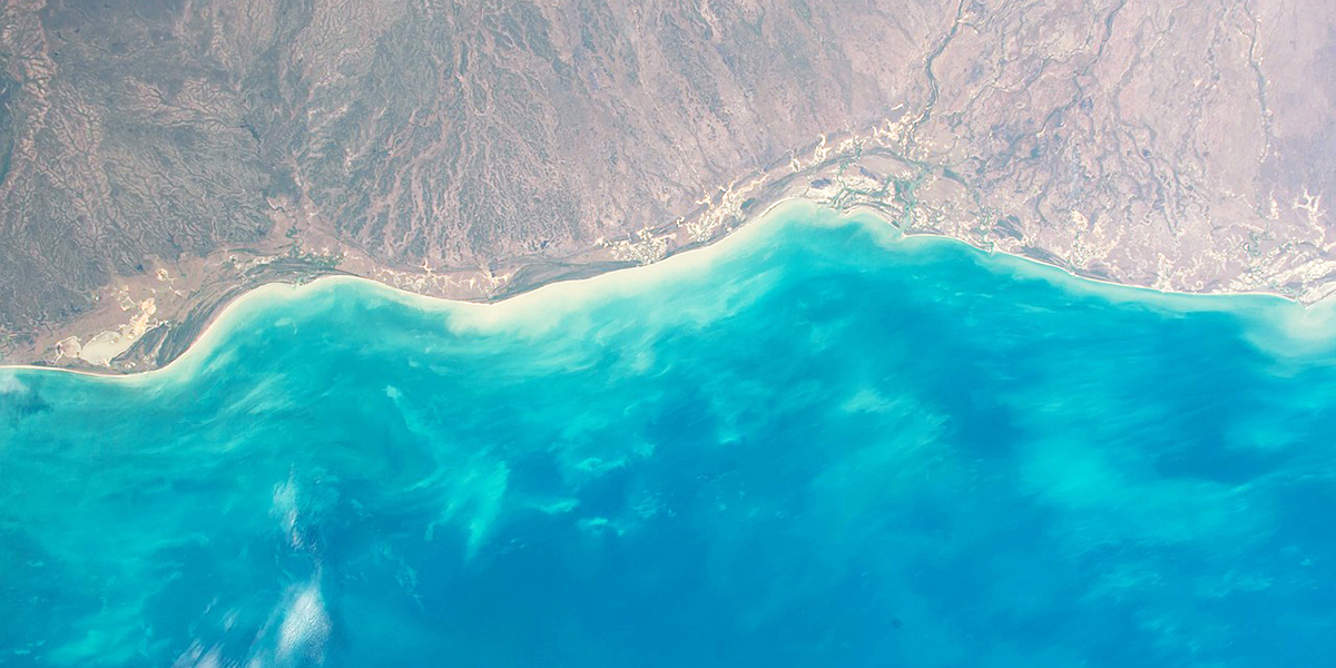 New Mobile App Monitors Harmful Algal Blooms | Earth And The Environment