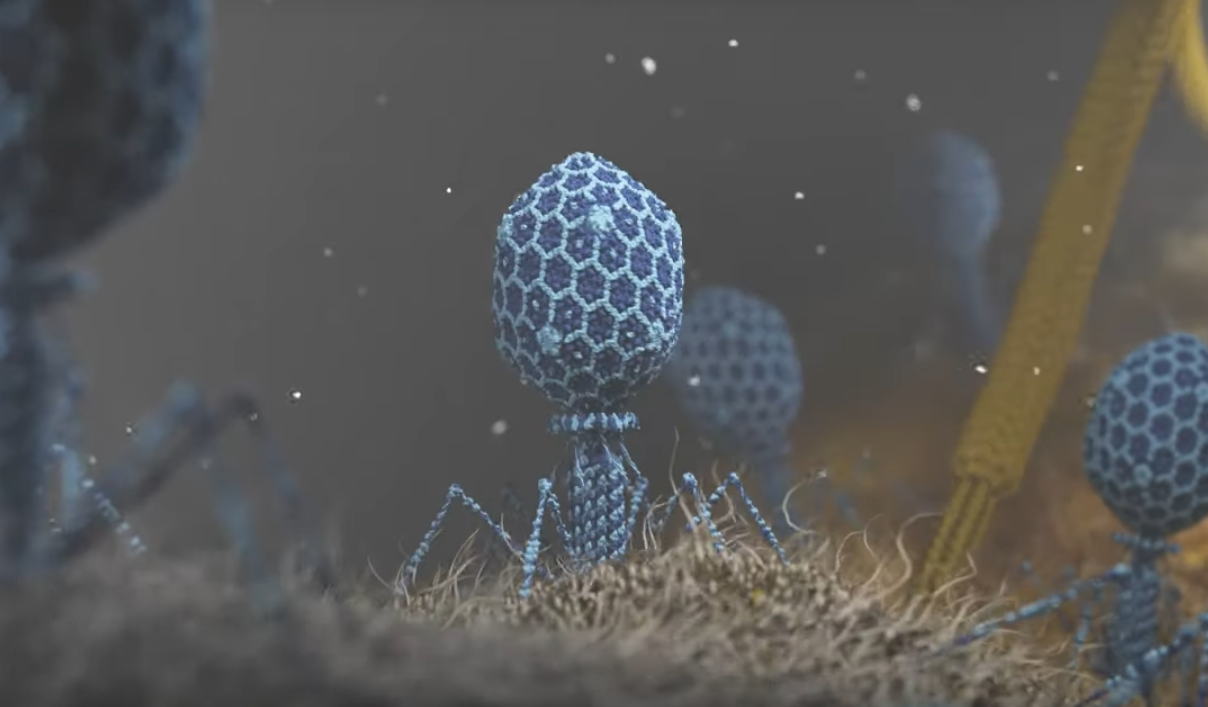 Giant Viruses Blur the Line Between Life and Non-Life | Microbiology