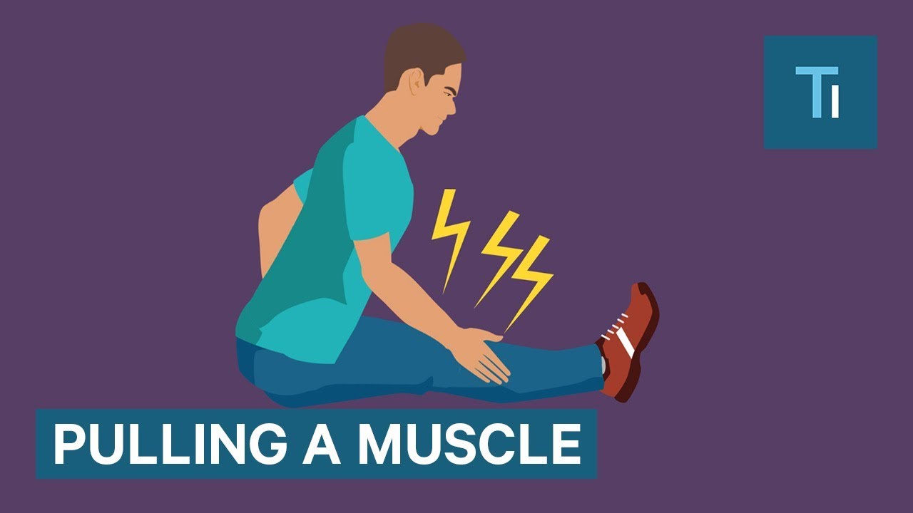 Why it Hurts When You Pull a Muscle | Videos