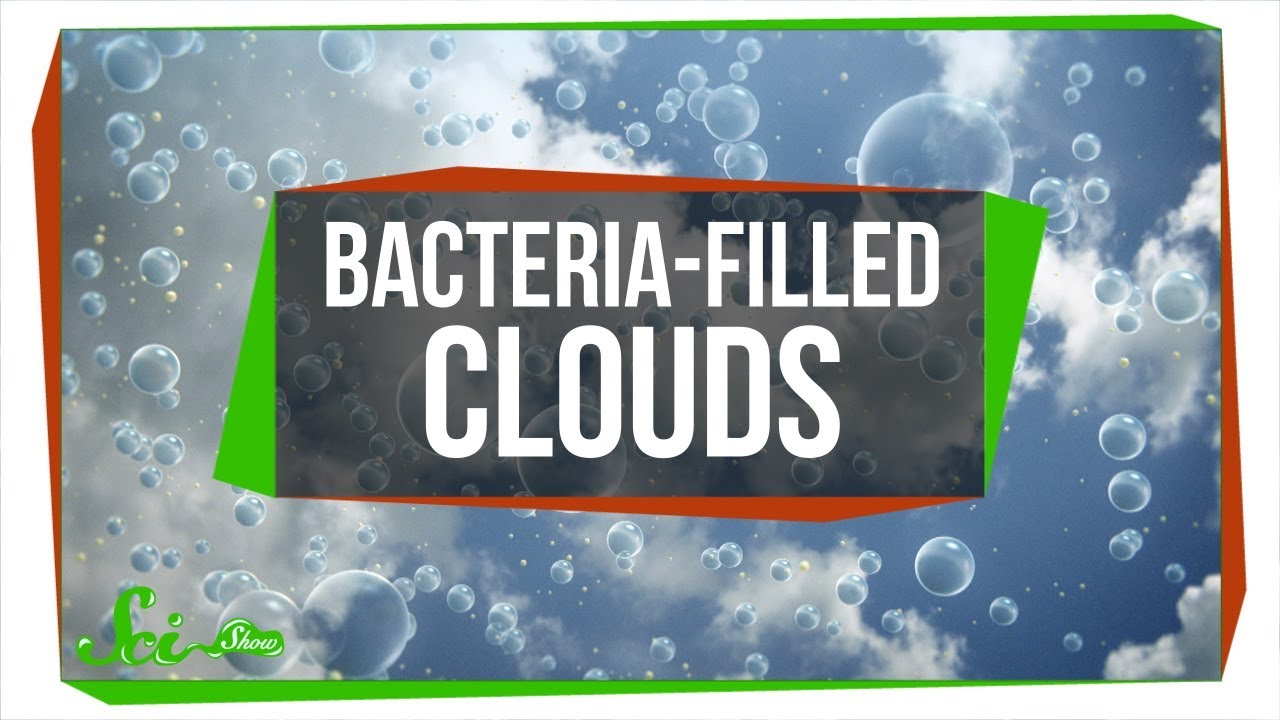 Bacteria can Help Make Snow | Videos