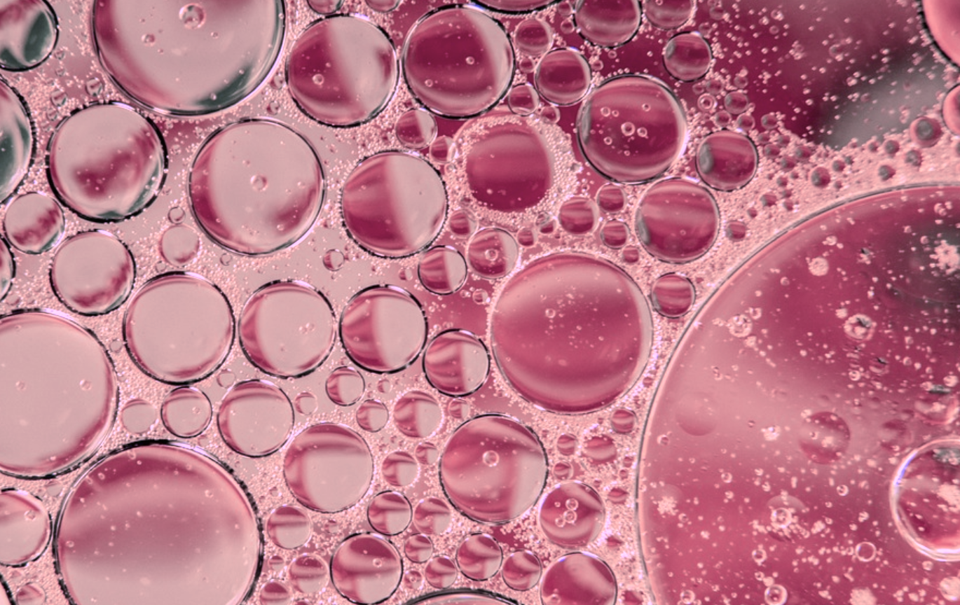 How Statins Can Cause Muscle Damage | Cell And Molecular Biology