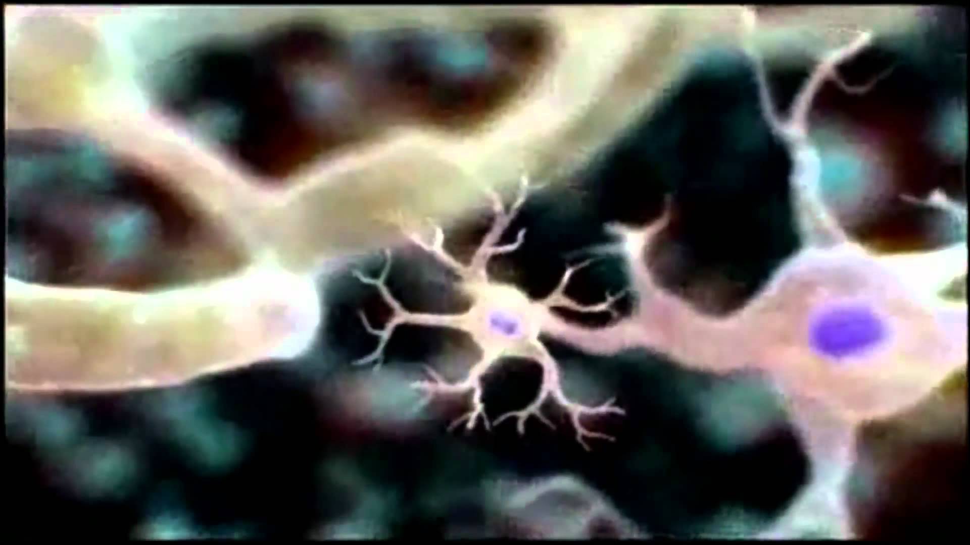 Cells. Pretty amazing when you think about them, | Videos