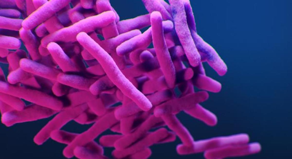 Tuberculosis Influenced the Human Genome | Genetics And Genomics