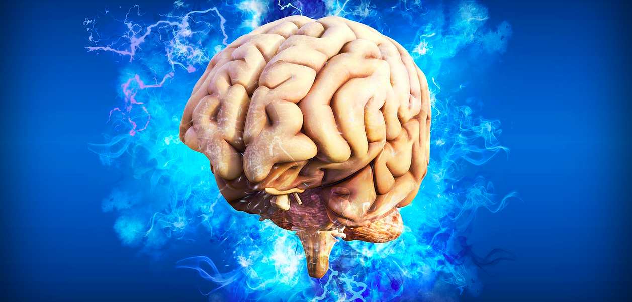 'Silent' Synapses Found in the Adult Brain | Neuroscience