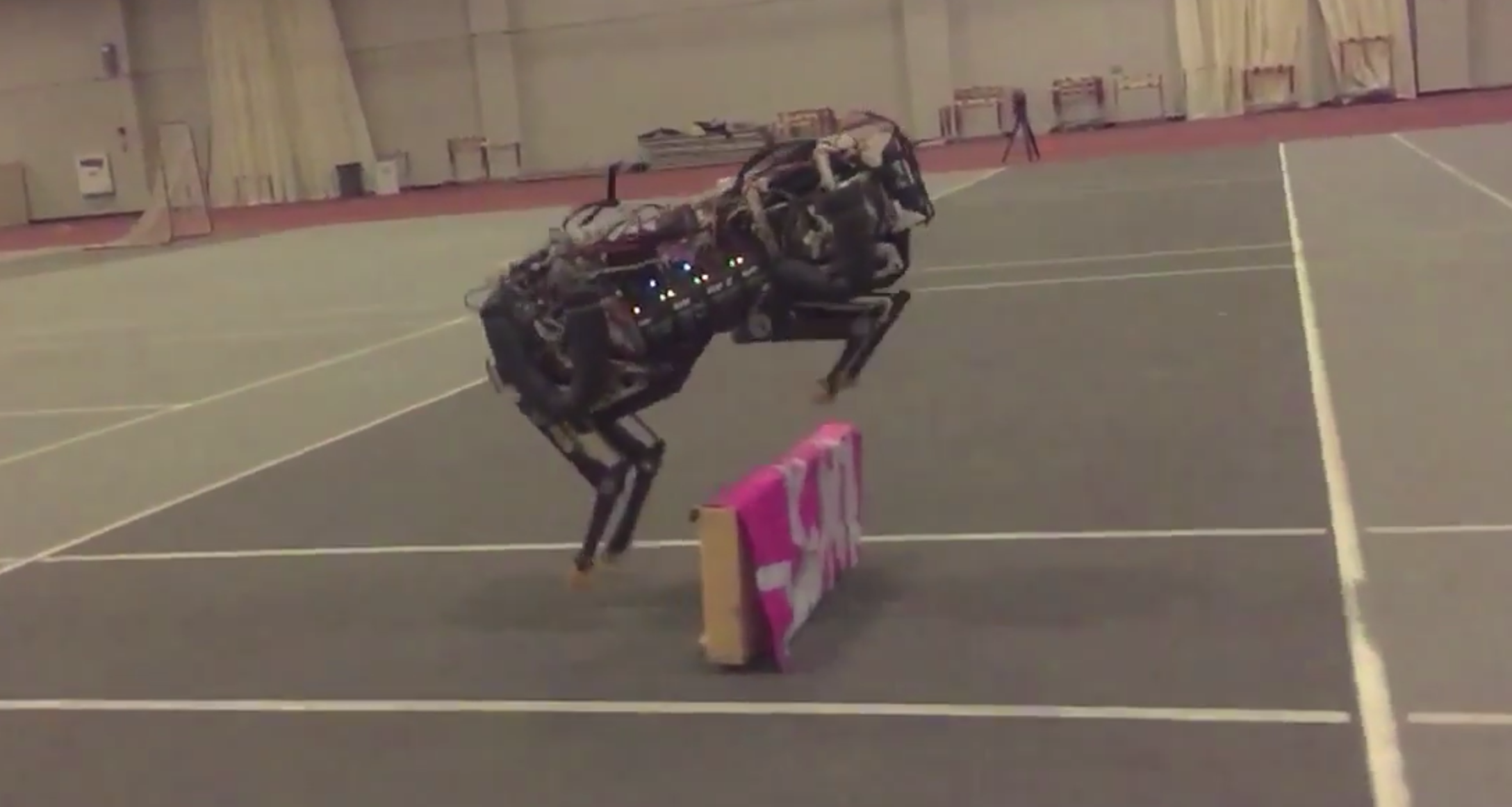 This Mechanical Running & Jumping Cheetah Could | Technology