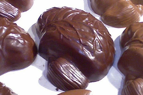 Chocolate Is The New Brain Food | Neuroscience