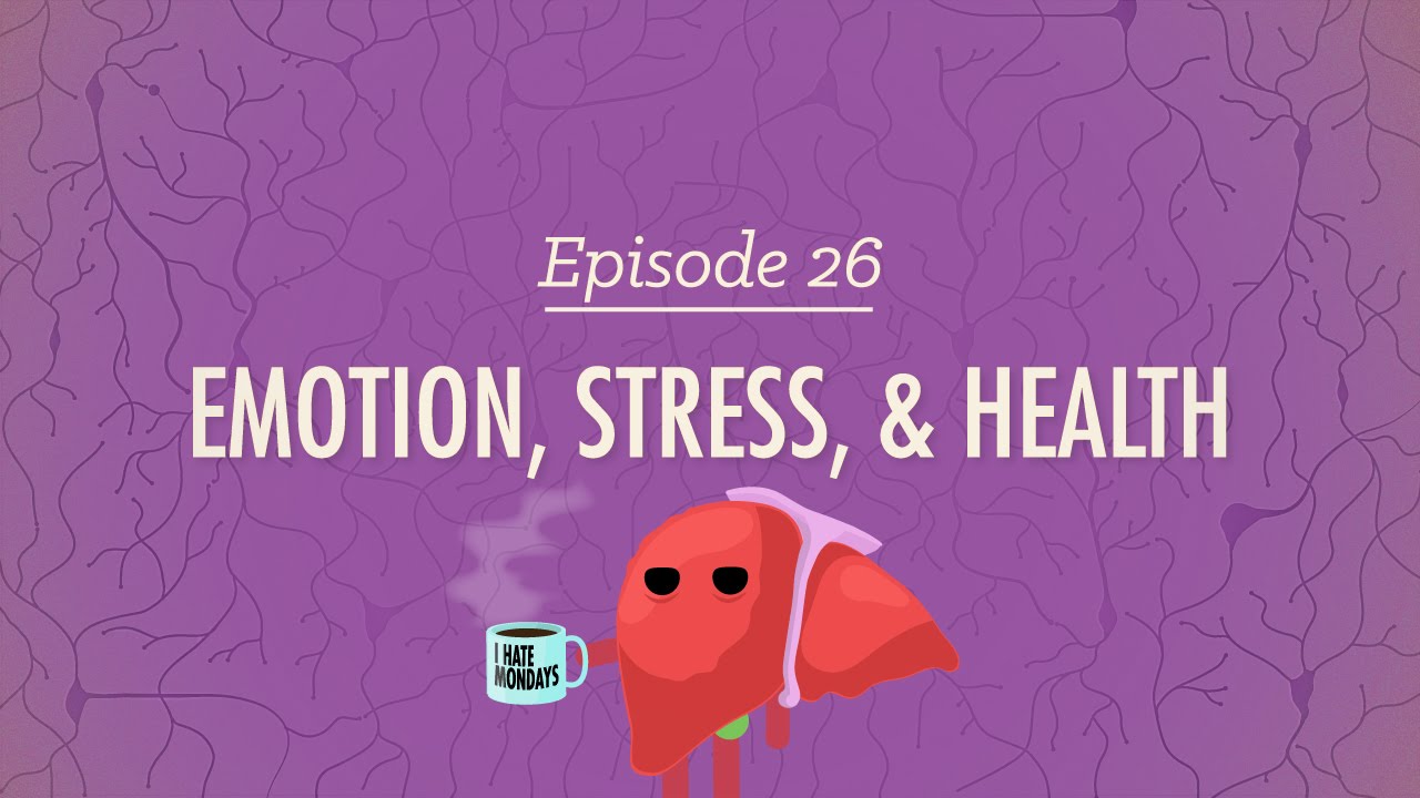 How Do Emotions Affect Your Physical Health | Videos