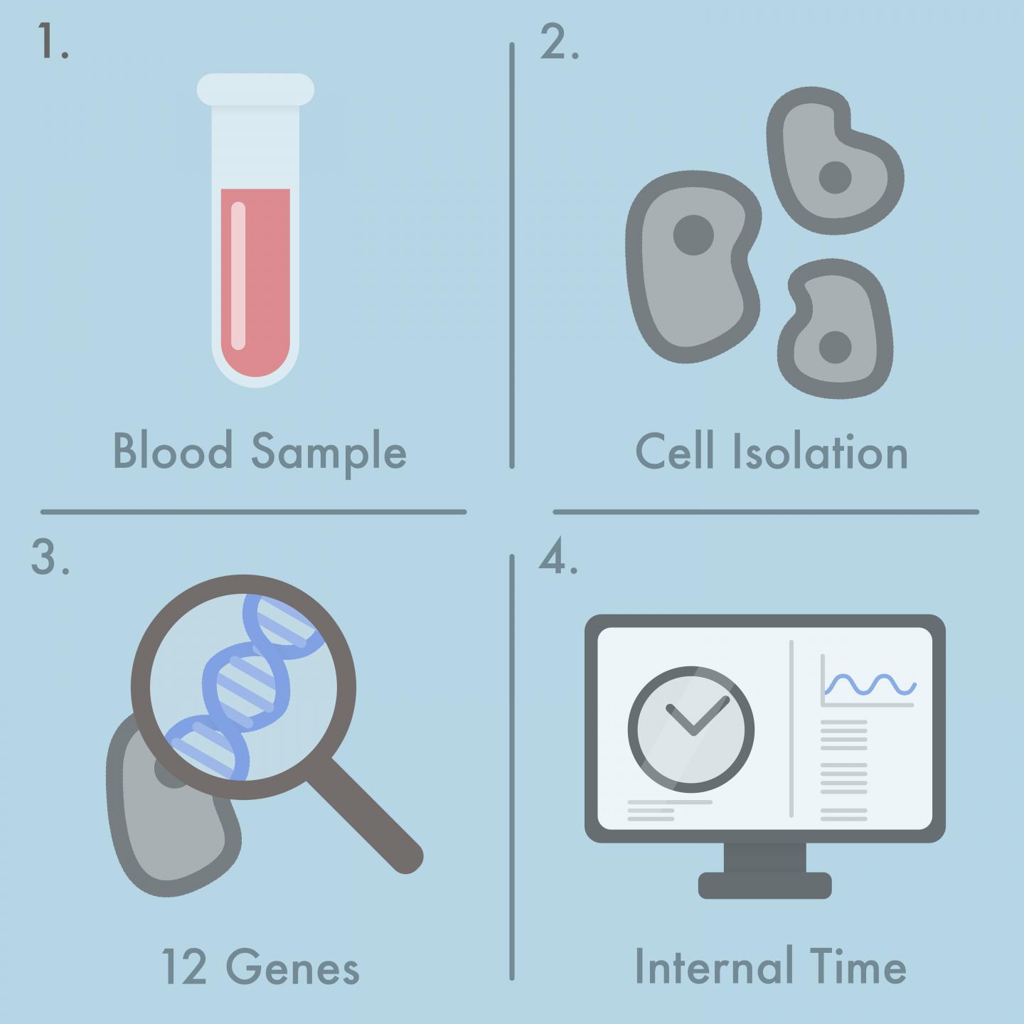 Blood Tests Deciphers Your Internal Rhythm | Clinical And Molecular Dx