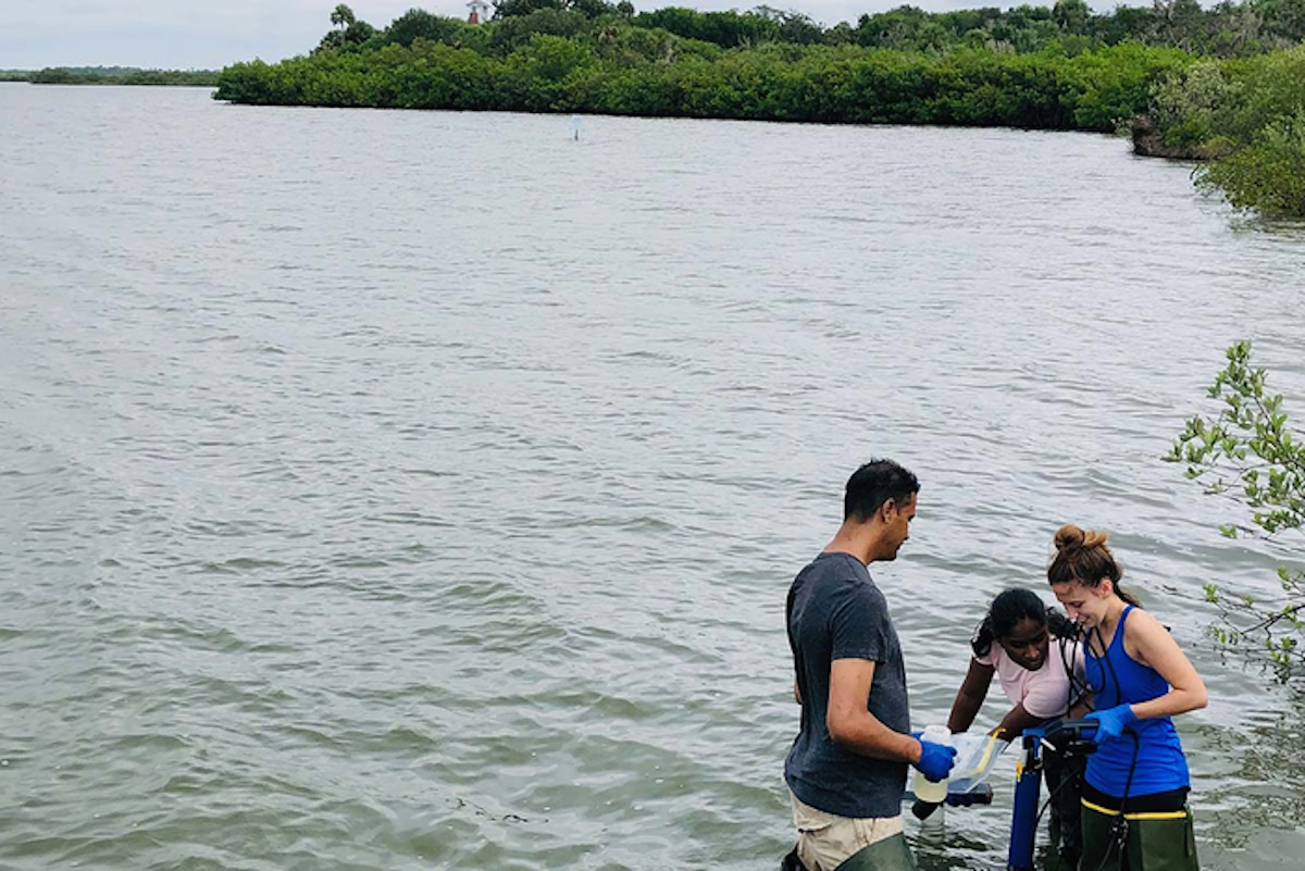 Harmless Microbes Can be Pressured to Turn Bad | Microbiology