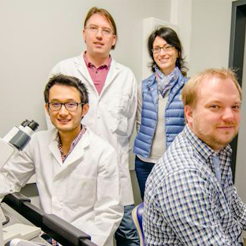 Immune Cells Use Bleach to Destroy Bacteria | Microbiology
