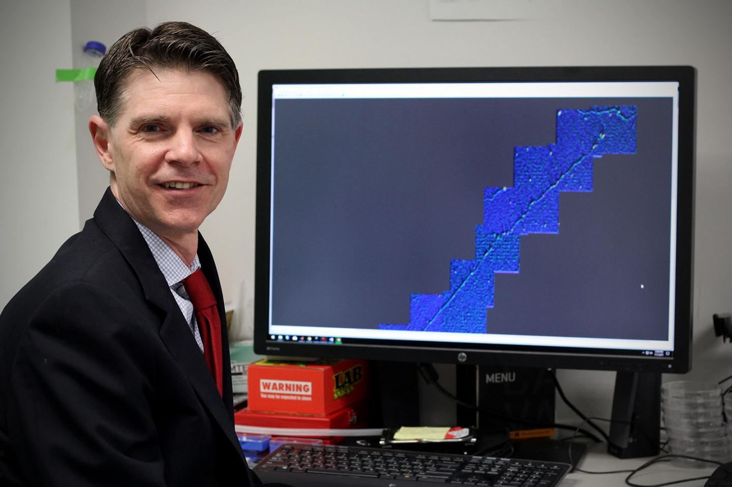 Using CRISPR to Find Mutations in the Genome | Genetics And Genomics