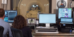 Neuroscientists discover gut-brain superhighway | Neuroscience