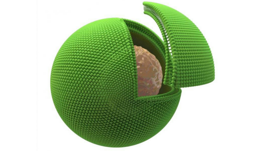 Bionic Being at the Cellular Level-Artificial Cells | Chemistry And Physics