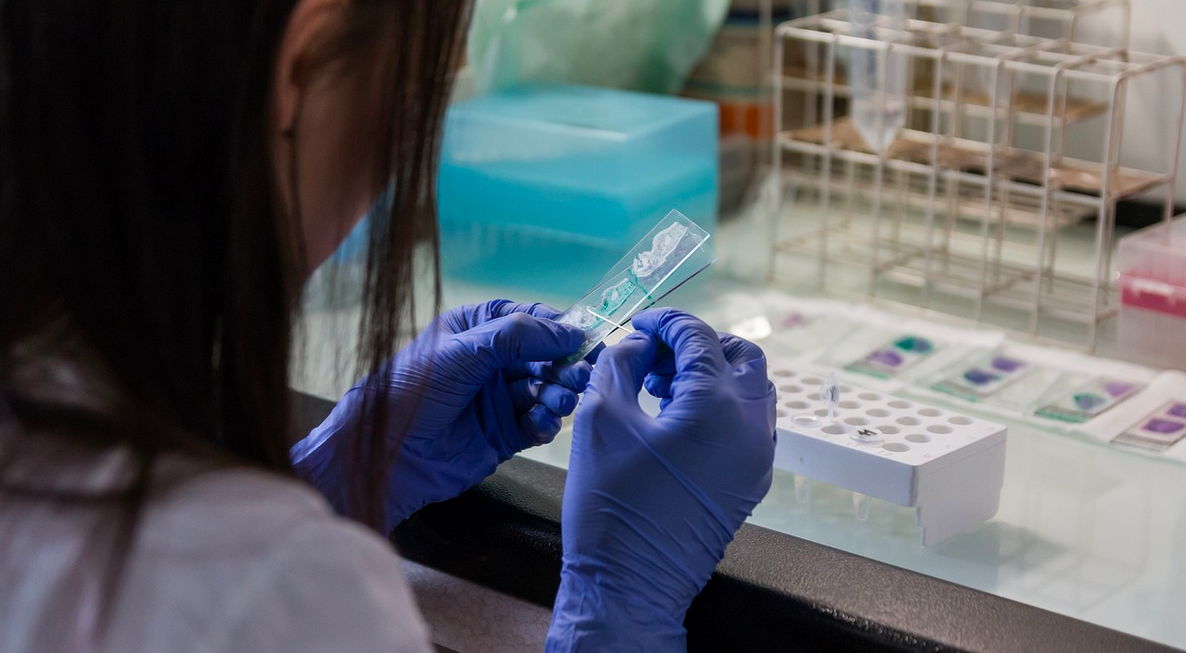 Restoring Function to a Damaged Kidney | Health And Medicine