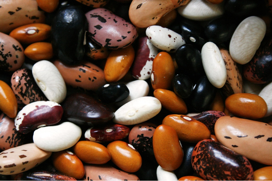 Beans and Soy May Lower Blood Pressure | Cardiology