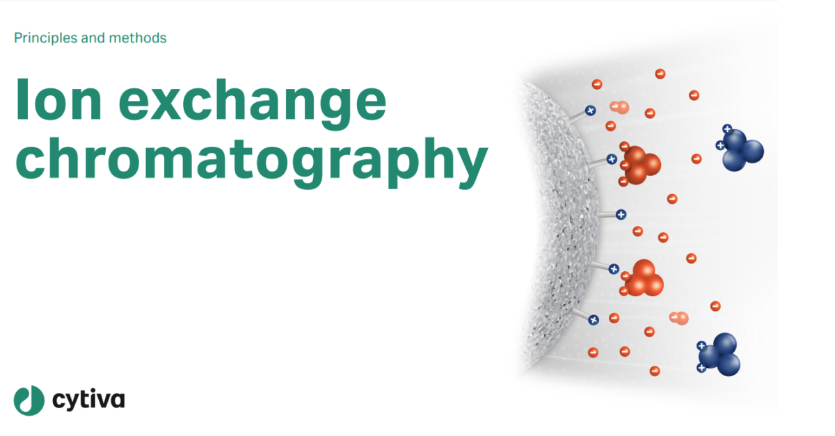 Simplified guide to ion exchange chromatography | Drug Discovery And ...