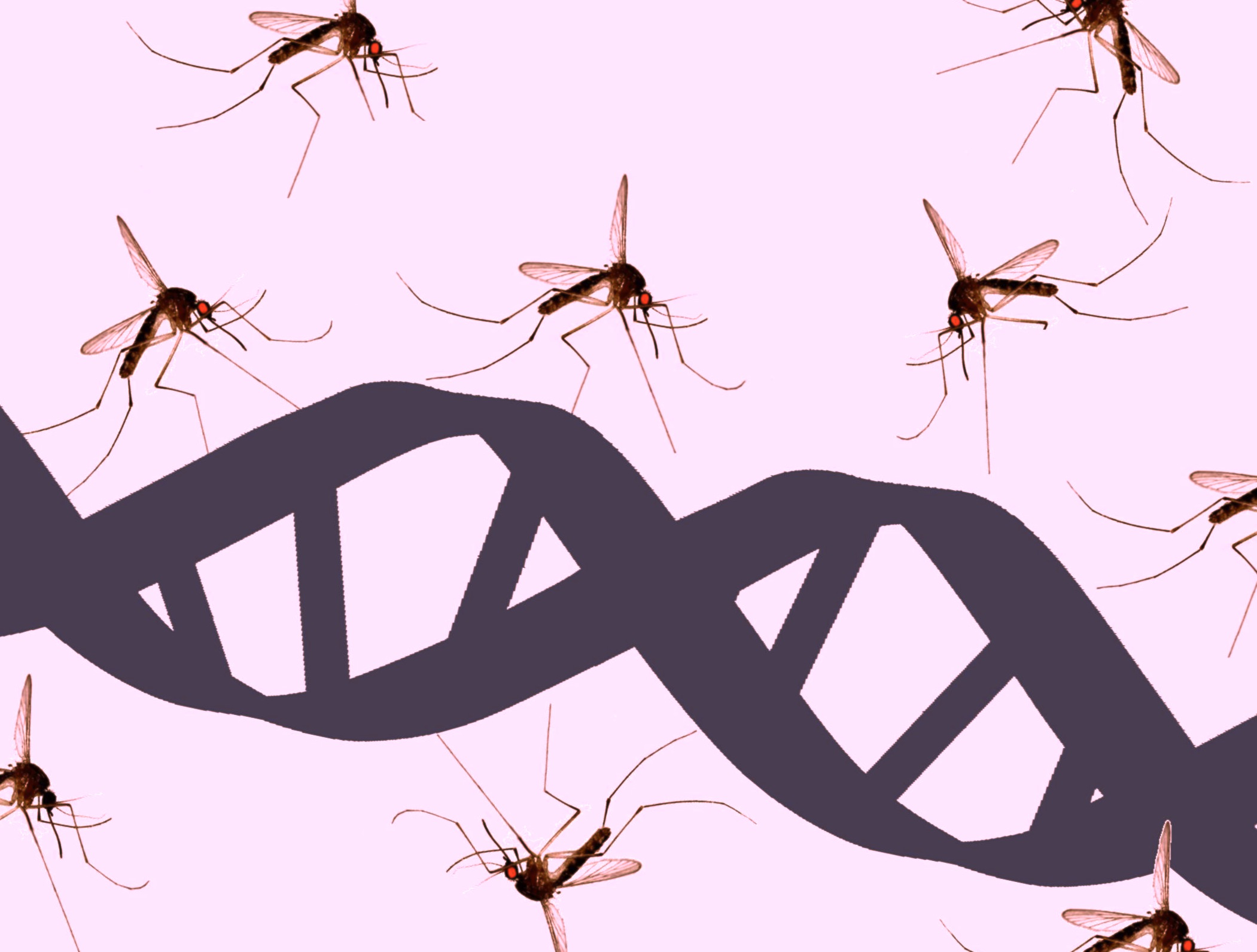 Gene Drive Technology Gets Prudent Stamp of Approval | Cell And ...