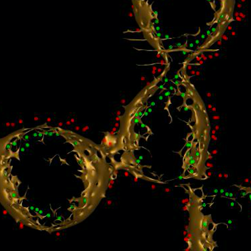 Towards the Creation of Living Machines | Microbiology