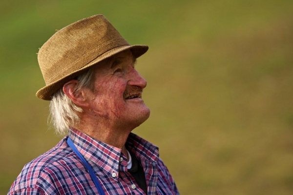 Marijuana, Memory and Mature Mice | Cannabis Sciences