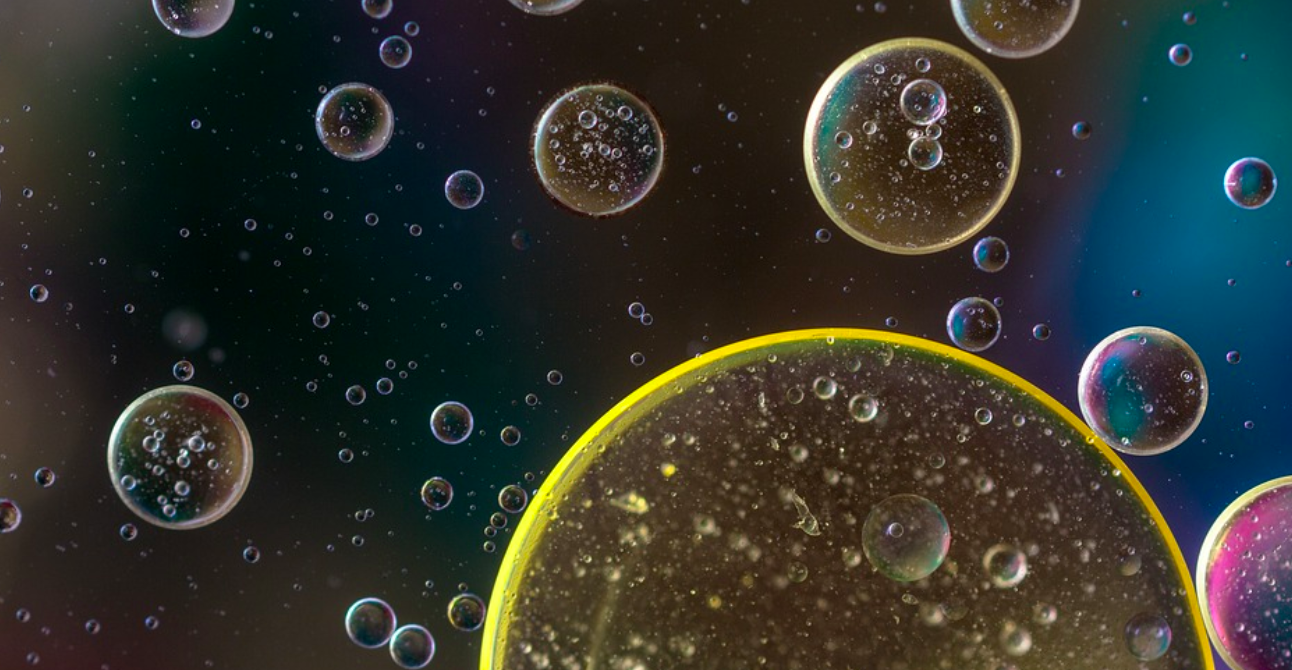 A Mutation That Enables Bacteria to Resist Phages | Genetics And Genomics