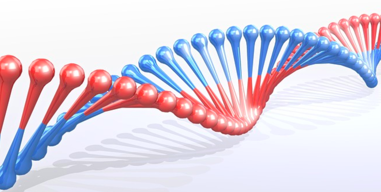 Advancing the Study of 'Jumping' Genes | Genetics And Genomics
