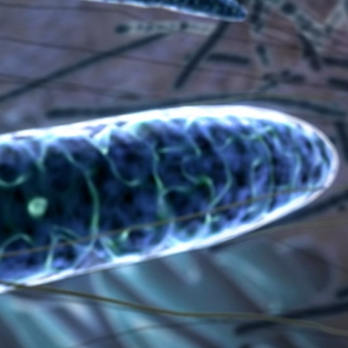 A New Way of Seeing Cellular Energy Production | Cell And Molecular Biology