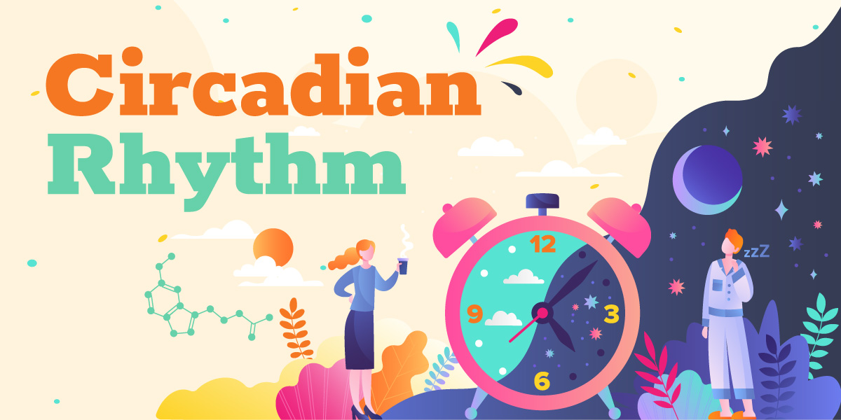 Circadian Rhythm | Infographics