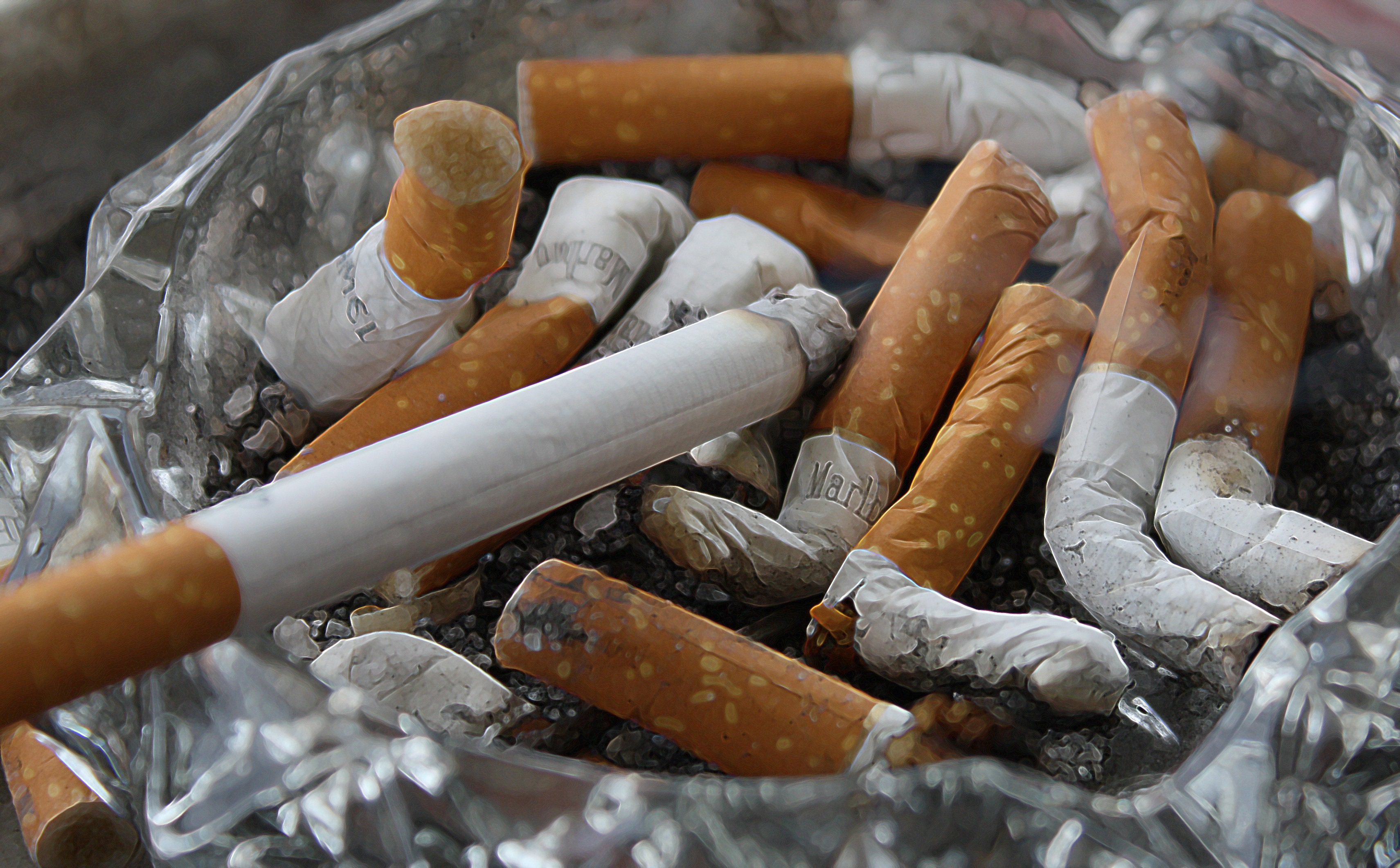 Early Diagnosis of Lung Cancer Increases | Cancer