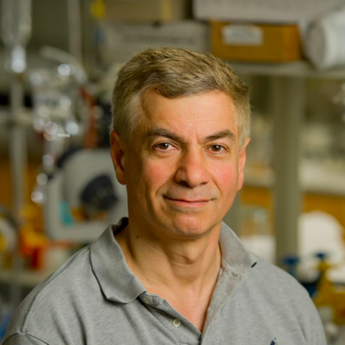 Learning how Bacteria Recover After Antibiotic Exposure | Microbiology