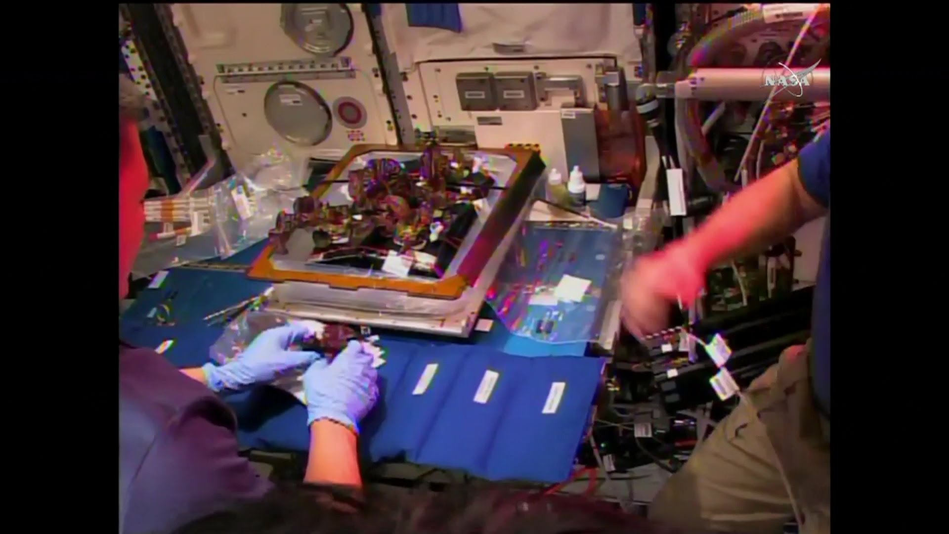 International Space Station Astronauts Bite Into Space-Grown Veggies ...