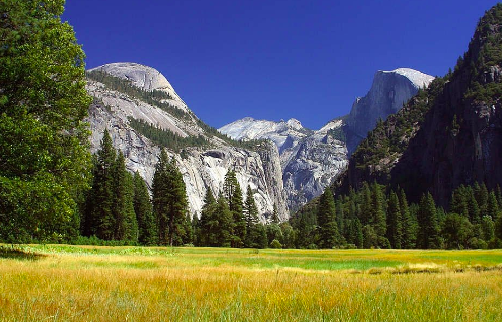 A Huge Restoration Project is Underway at Yosemite National Park ...