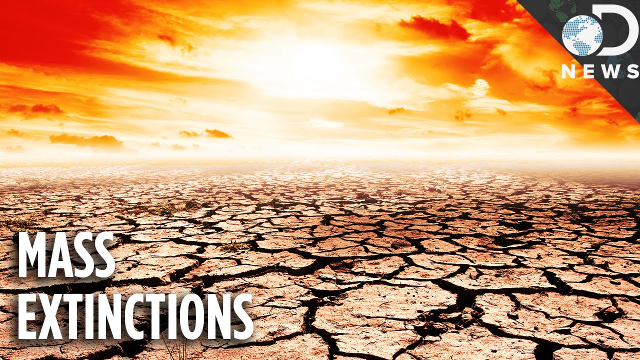 Climate Change and Mass Extinction | Videos