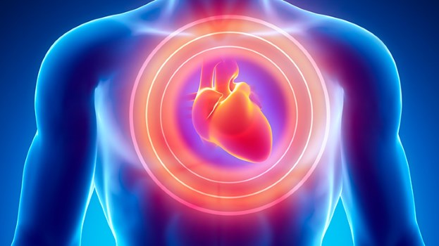 Viral Infection of the Heart | Health And Medicine