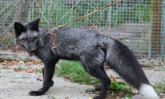 New Holotomography Microscope for Imaging Live Cells in 3D | Cell And ...