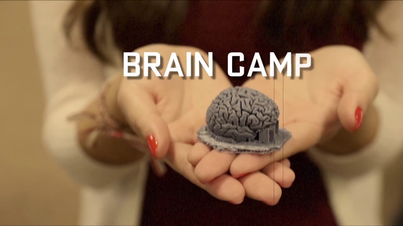 How I Spent My Summer: Brain Camp | Videos