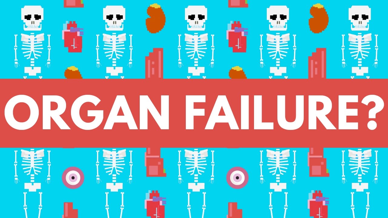 Why Donor Organs Get Rejected | Videos
