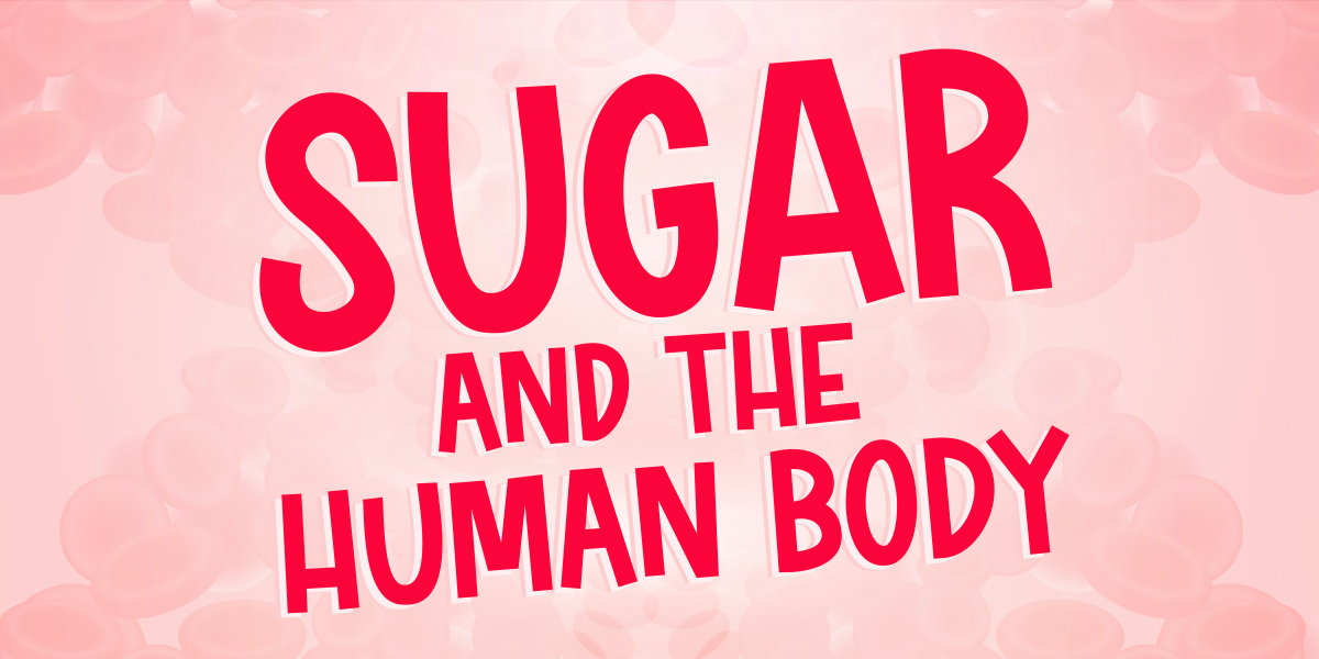 Sugar and the Human Body | Infographics
