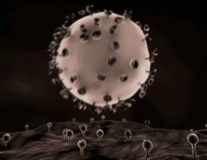 DNA Nanorobots Mimic Viruses to Potentially Trea | Genetics And Genomics