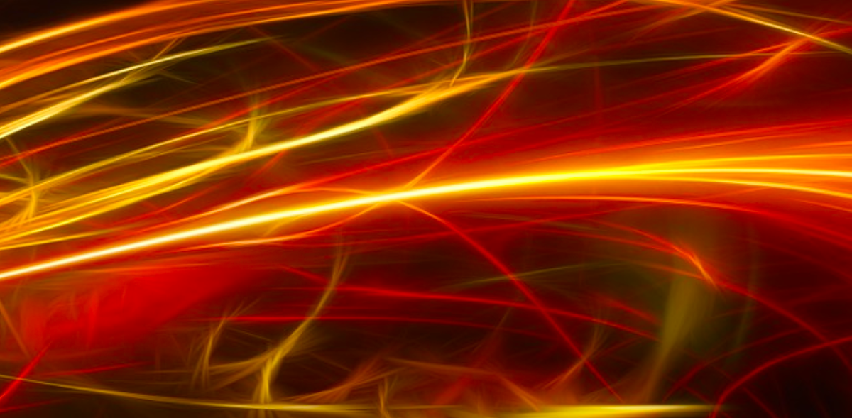 In Early Embryonic Development, Gene Expression Goes Wild | Genetics ...