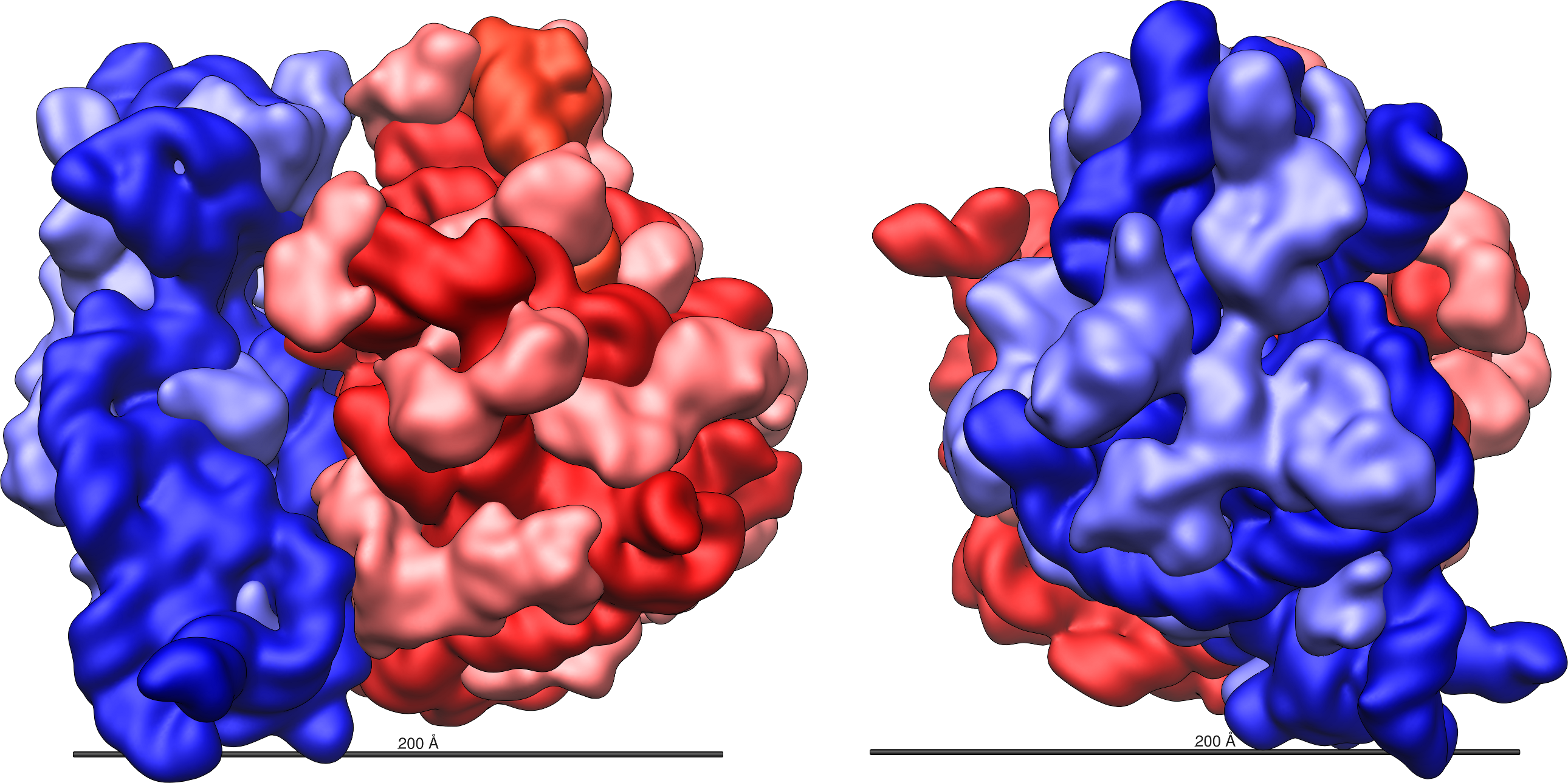 Redefining how we Think of the Ribosome | Cell And Molecular Biology