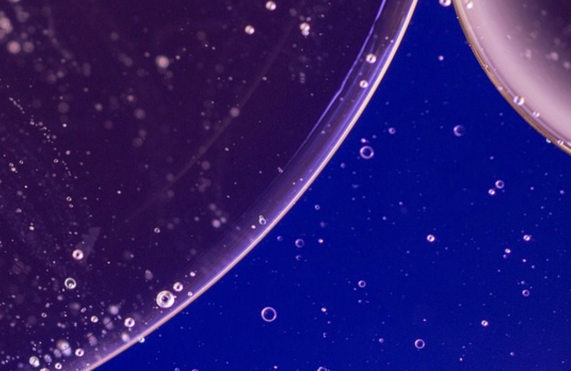 SNIPE - A Bacterial Defense Against Viral Invaders | Microbiology